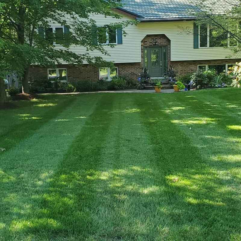Warrior Landscaping Completed Photo Gallery